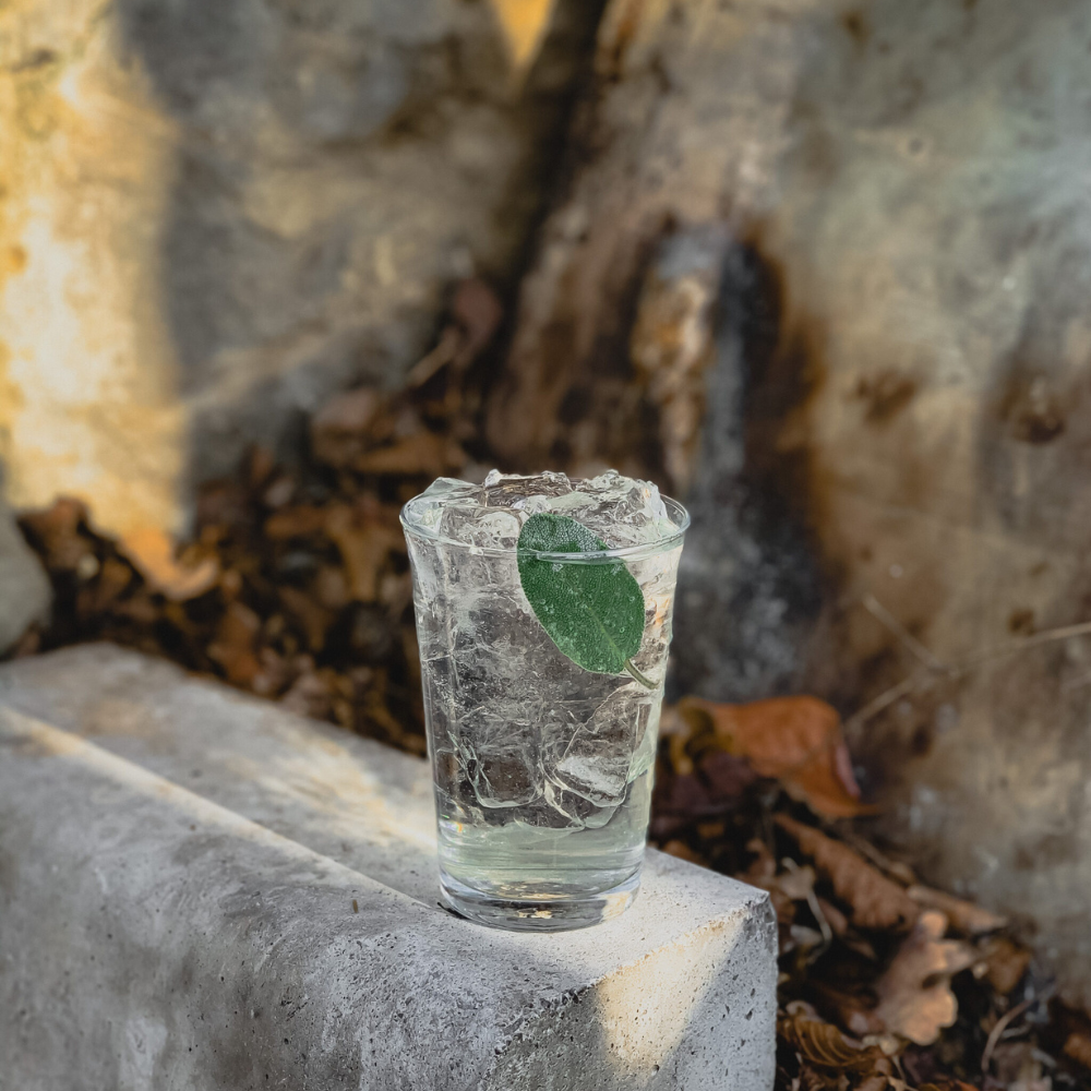 Nicholas Sage – beztrosko